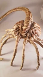 Facehuggers | Legends of the Multi Universe Wiki | Fandom