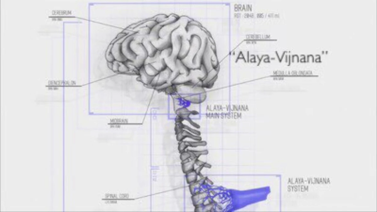Alaya-Vijnana System | Legends of the Multi Universe Wiki | Fandom