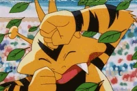 Electabuzz | Legends of the Multi Universe Wiki | Fandom