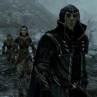 The Thalmor | Legends of the Multi Universe Wiki | Fandom