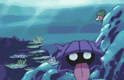 Shellder Gif