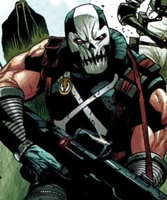 Crossbones | Legends of the Multi Universe Wiki | Fandom