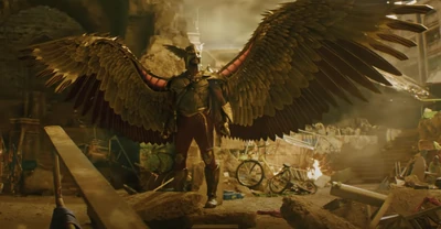 Hawkman | Legends of the Multi Universe Wiki | Fandom