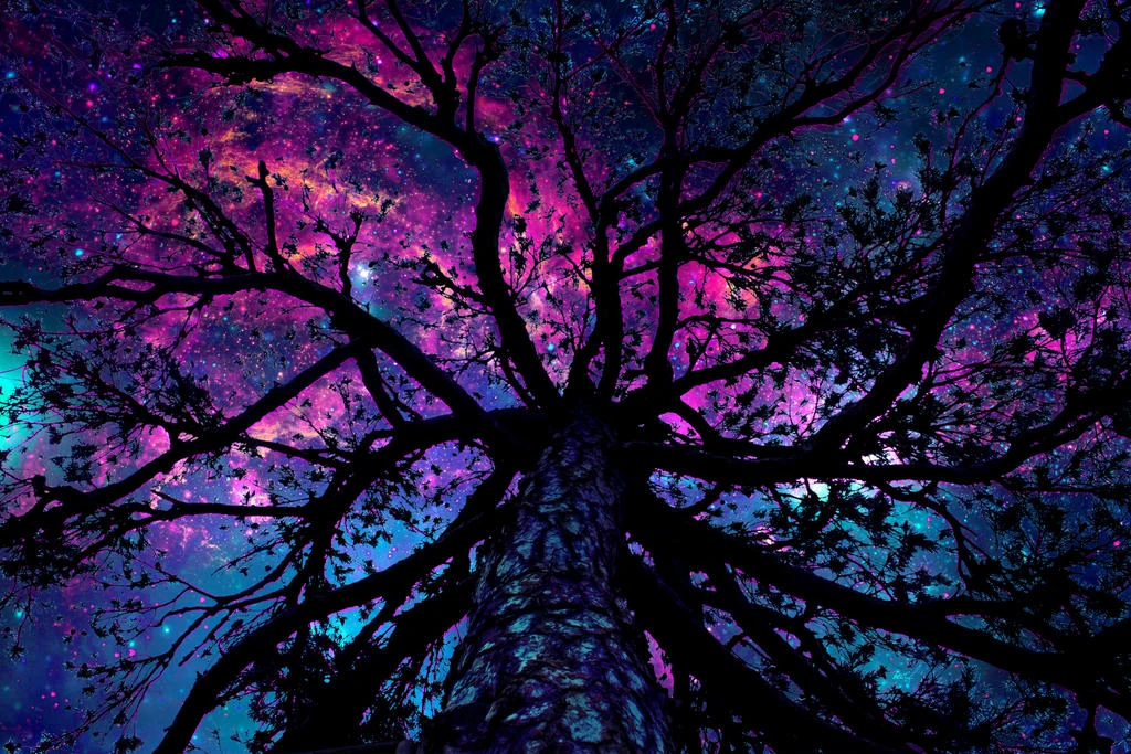 The Rift Tree | Legends of the Multi Universe Wiki | Fandom