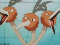 Dodrio | Legends of the Multi Universe Wiki | Fandom