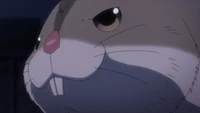 Hamsuke | Legends of the Multi Universe Wiki | Fandom