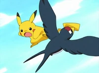 Taillow | Legends of the Multi Universe Wiki | Fandom