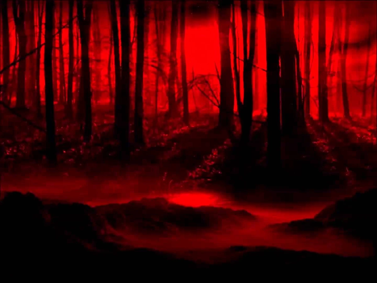 Forest of Death | Legends of the Multi Universe Wiki | Fandom