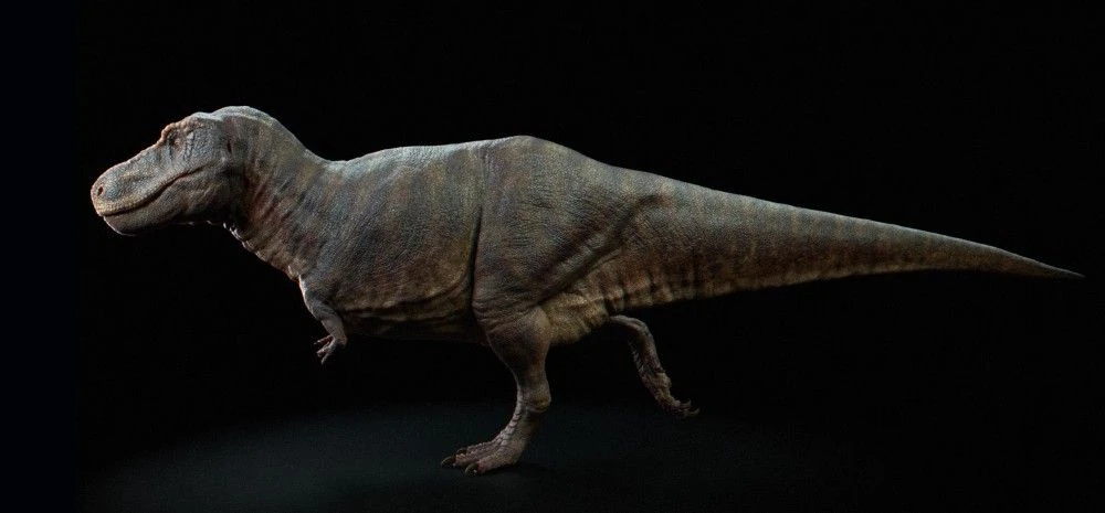 Sue the Tyrannosaurus rex | Legends of the Multi Universe Wiki | Fandom