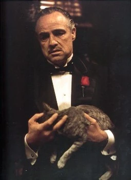 Vito Corleone | Legends of the Multi Universe Wiki | Fandom