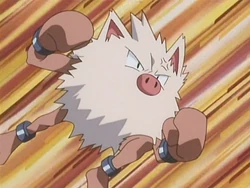 primate or primeape