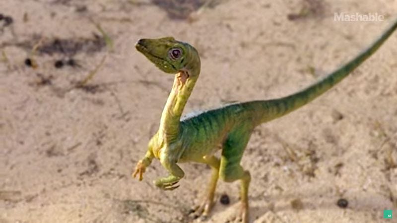 Compsognathus Ingen Clones Legends Of The Multi Universe Wiki Fandom