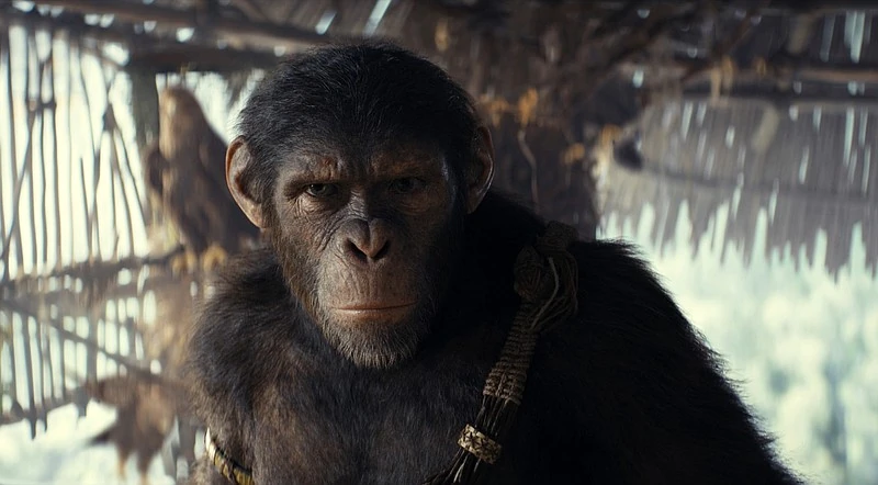 Noa (Planet of the Apes) | Legends of the Multi Universe Wiki | Fandom