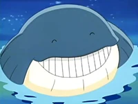 Wailmer | Legends of the Multi Universe Wiki | Fandom