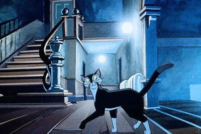 Francis (Felidae) | Legends of the Multi Universe Wiki | Fandom