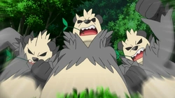 Pangoro | Legends of the Multi Universe Wiki | Fandom