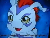 Gomamon | Legends of the Multi Universe Wiki | Fandom