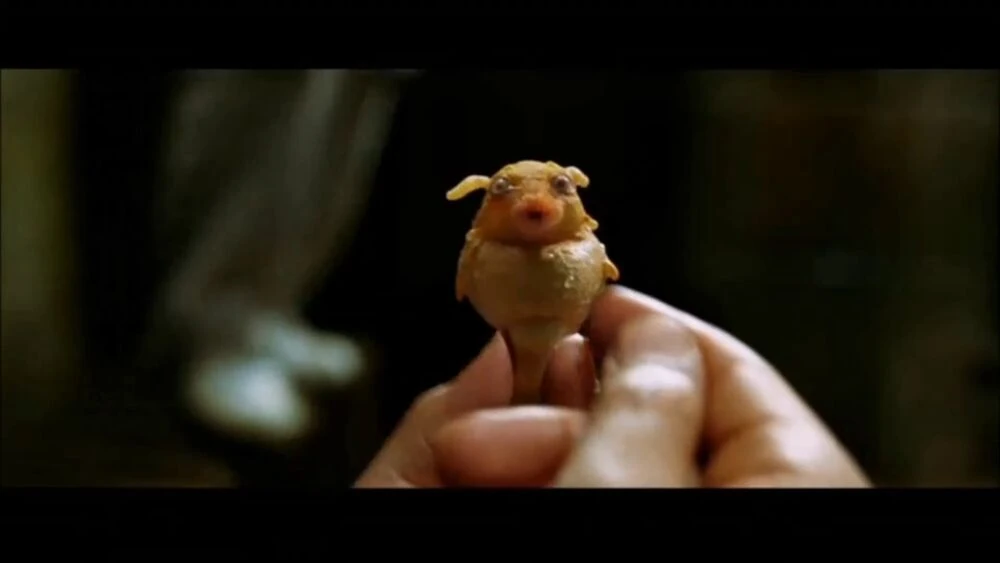 Babel Fish | Legends of the Multi Universe Wiki | Fandom