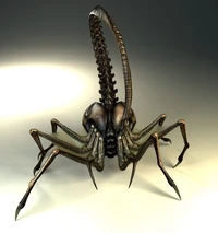 Facehuggers | Legends of the Multi Universe Wiki | Fandom