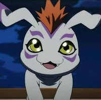 Gomamon | Legends of the Multi Universe Wiki | Fandom