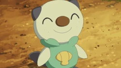 Oshawott Gif
