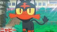 Litten | Legends of the Multi Universe Wiki | Fandom