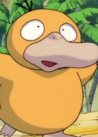 Psyduck | Legends of the Multi Universe Wiki | Fandom