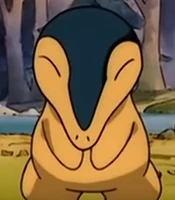 Cyndaquil | Legends of the Multi Universe Wiki | Fandom