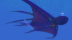 Umi-Bozu | Legends of the Multi Universe Wiki | Fandom