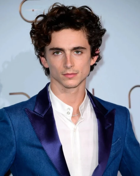 Category:Characters voiced and/or played by Timothée Chalamet | Legends ...