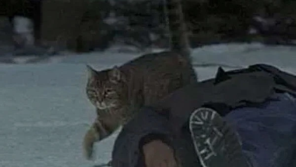 Azazel (Fallen) | Legends of the Multi Universe Wiki | Fandom