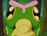 Caterpie | Legends of the Multi Universe Wiki | Fandom