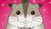 Hamsuke | Legends of the Multi Universe Wiki | Fandom