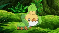 Sewaddle | Legends of the Multi Universe Wiki | Fandom