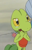 Treecko | Legends of the Multi Universe Wiki | Fandom