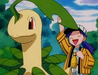 Bayleef | Legends of the Multi Universe Wiki | Fandom