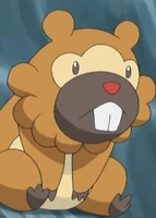 Bidoof | Legends of the Multi Universe Wiki | Fandom