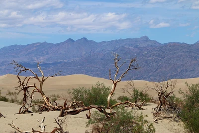 LOTM: The Odyssey Of Time | Legends of the Multi Universe Wiki | Fandom