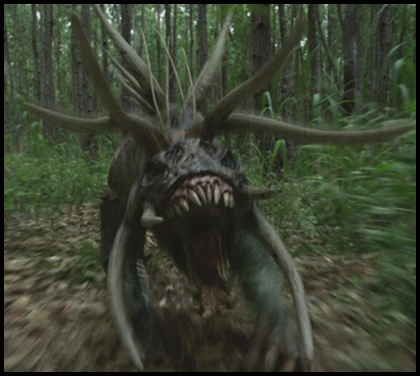 What Are The Predators Of Dogs