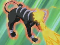 Houndoom | Legends of the Multi Universe Wiki | Fandom