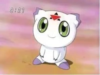 Calumon | Legends of the Multi Universe Wiki | Fandom