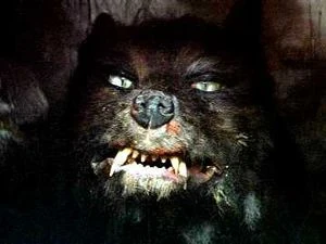 Gmork | Legends of the Multi Universe Wiki | Fandom