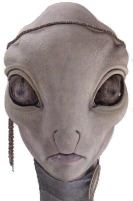 Taun We | Legends of the Multi Universe Wiki | Fandom