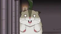 Hamsuke | Legends of the Multi Universe Wiki | Fandom