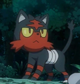 Litten | Legends of the Multi Universe Wiki | Fandom