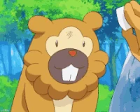 Bidoof | Legends of the Multi Universe Wiki | Fandom