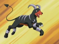 Houndoom | Legends of the Multi Universe Wiki | Fandom
