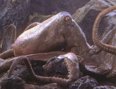 Oodako | Legends of the Multi Universe Wiki | Fandom