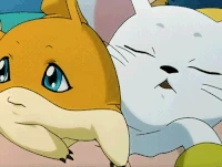 Patamon | Legends of the Multi Universe Wiki | Fandom