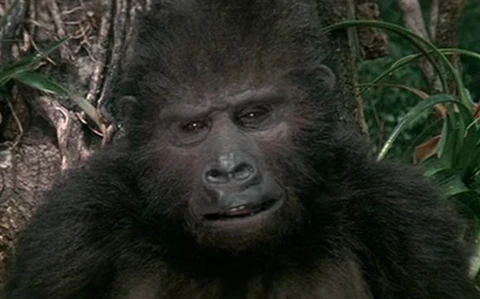 Baby Kong | Legends of the Multi Universe Wiki | Fandom